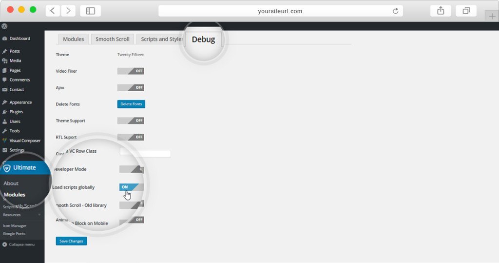 Load scripts globally – Documentation