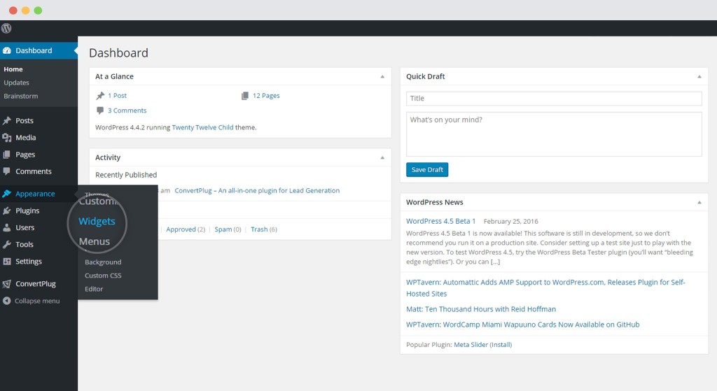 How to use the ConvertPlug Widget? – Documentation